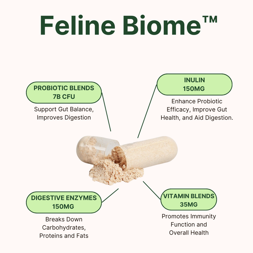 Feline Biome™ - Probiotic Cat Supplement – Purrlife